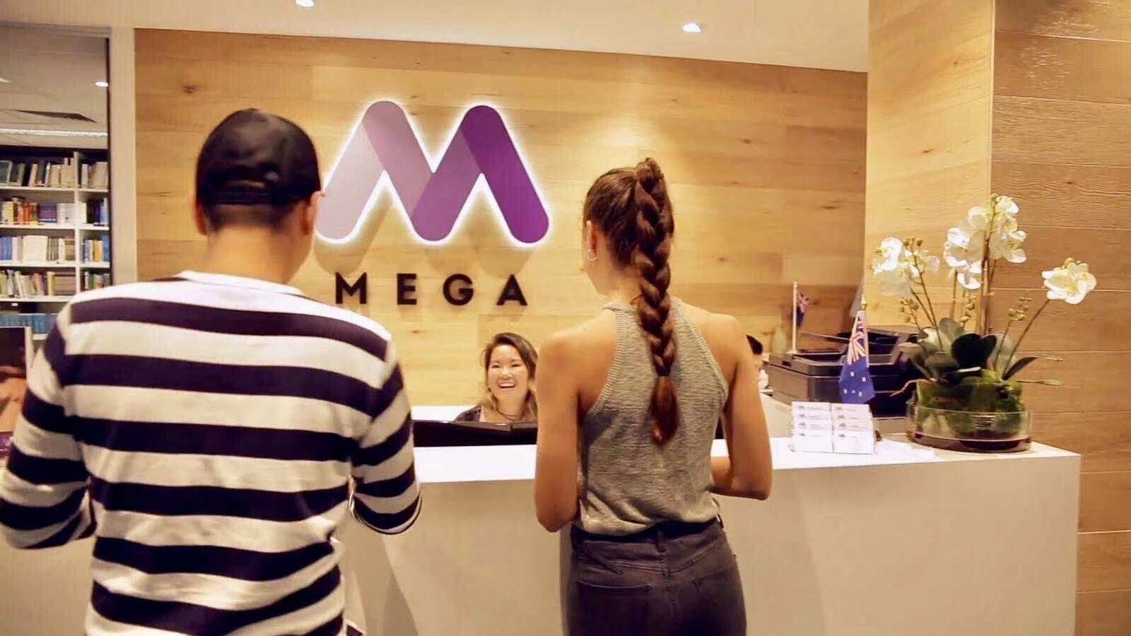 About MEGA - MEGA